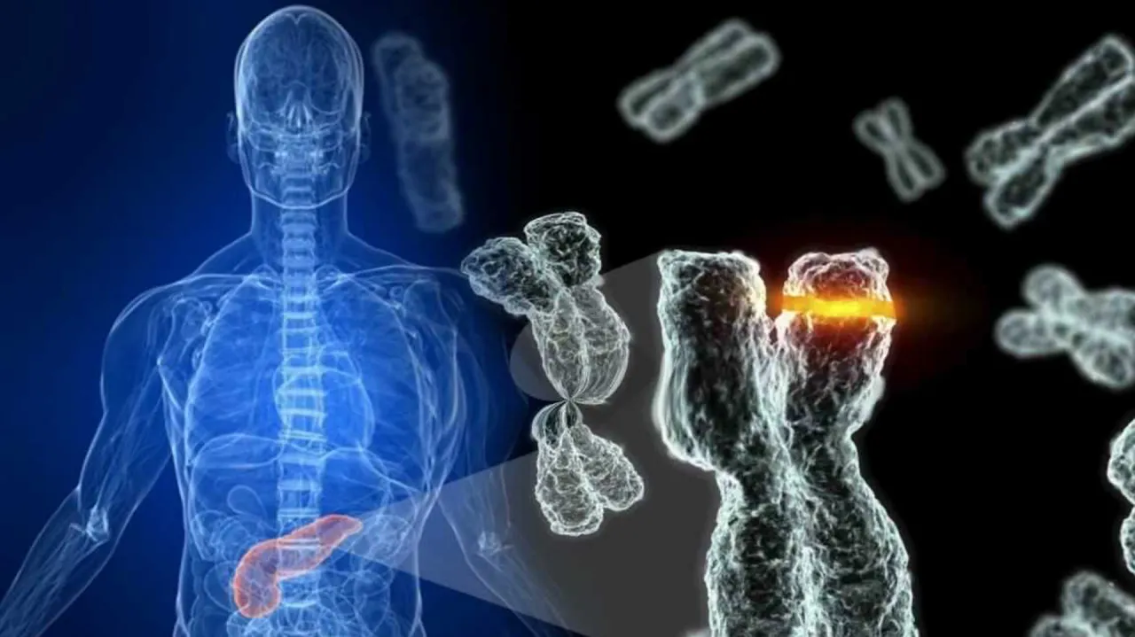 RENOVANDO LA VIDA: UN TESTIMONIO DE SANACIÓN CON TERAPIA DE ...